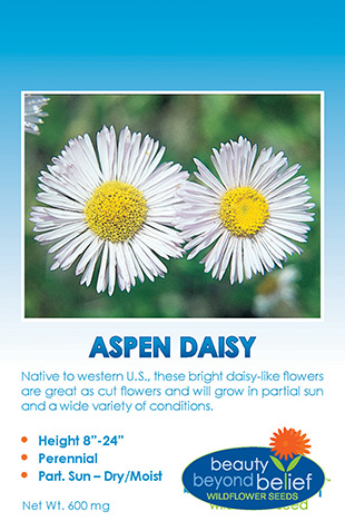 Daisy, Aspen - Erigeron speciosus | BBB Seed Wildflower Seeds