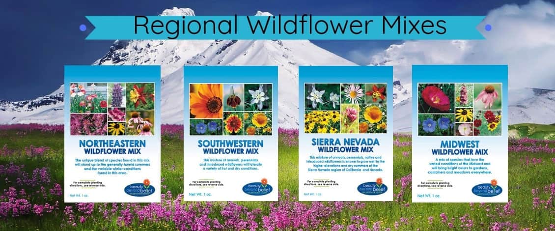 Wildflower Seeds | Bulk, Wholesale Wildflower Seed Mixes